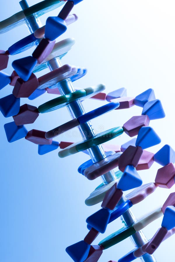 Science Molecule DNA Model Structure, Business Teamwork Concept Stock ...