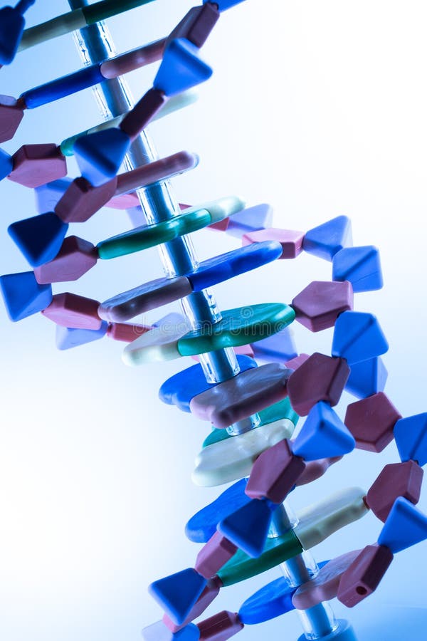 Science Molecule DNA Model Structure, Business Teamwork Concept Stock ...