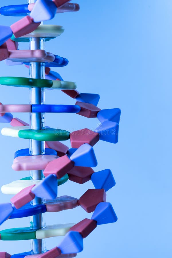 Science Molecule DNA Model Structure, Business Teamwork Concept Stock ...