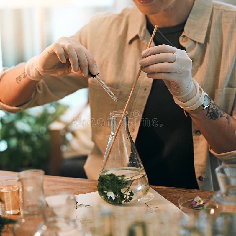 Science, Person and Hand with Plants in Beaker for Hydroponic ...