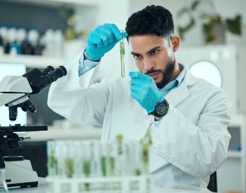 Science, Plants and Man with Test Tube in Laboratory, Research and ...