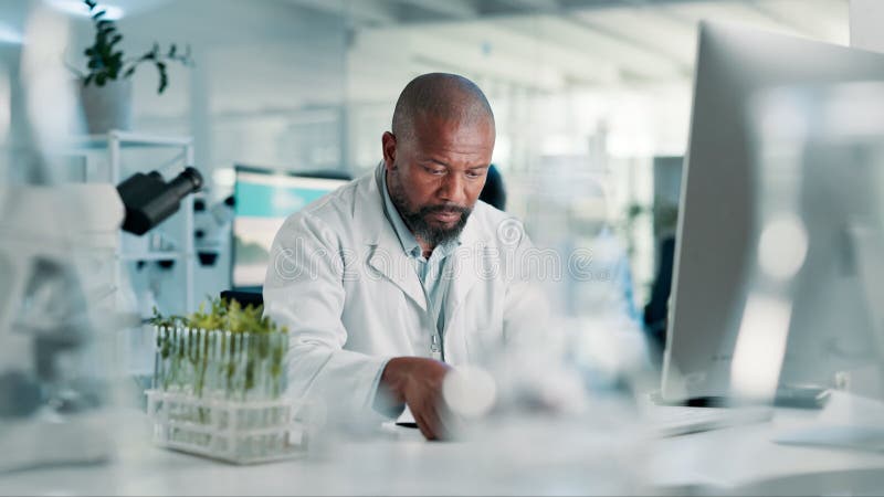 Science, Research and Black Man with Microscope, Chemical and Medical Engineering in Laboratory ...