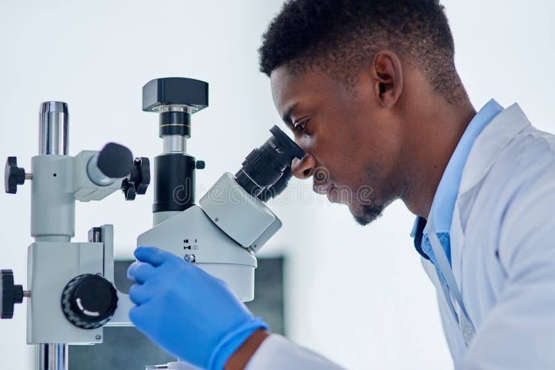 Science, Research and Black Man with Microscope for Analysis ...
