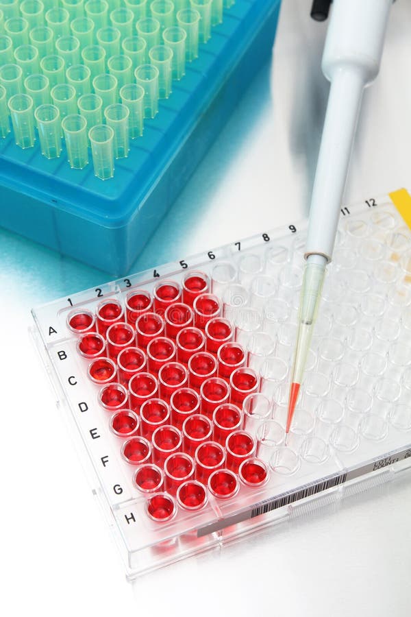 Science Experiment stock image. Image of scientific, tray - 22623201