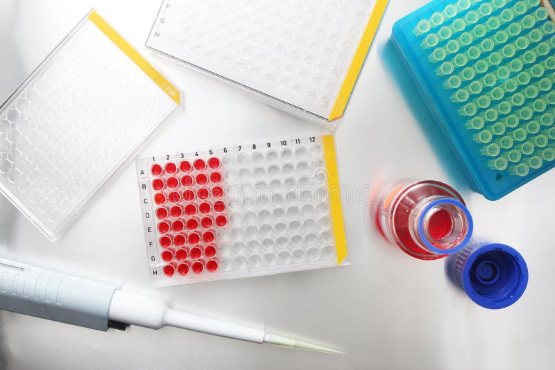 Medical Biotechnology Science Experiment Stock Image - Image of ...