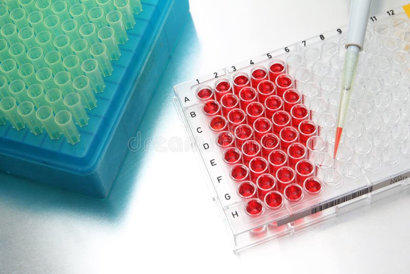 DNA Samples are Loaded Plate for PCR Analysis Stock Photo - Image of ...