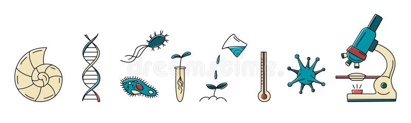 Science Set with Ammonite, DNA, Thermometer, Microscope, Test Tube ...