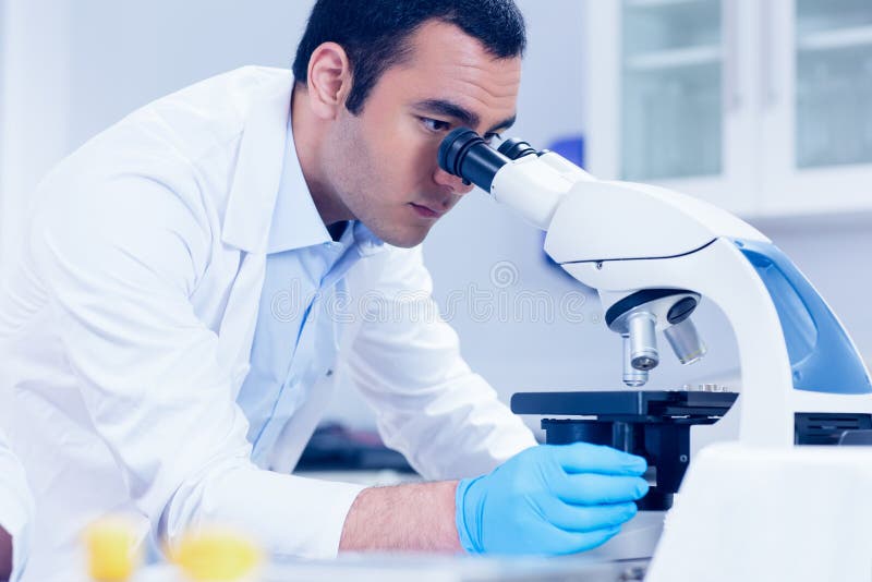 Science Student Looking through Microscope in the Lab Stock Photo ...