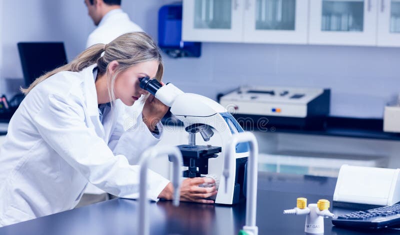 Science Student Looking Through Microscope In The Lab Stock Photo ...