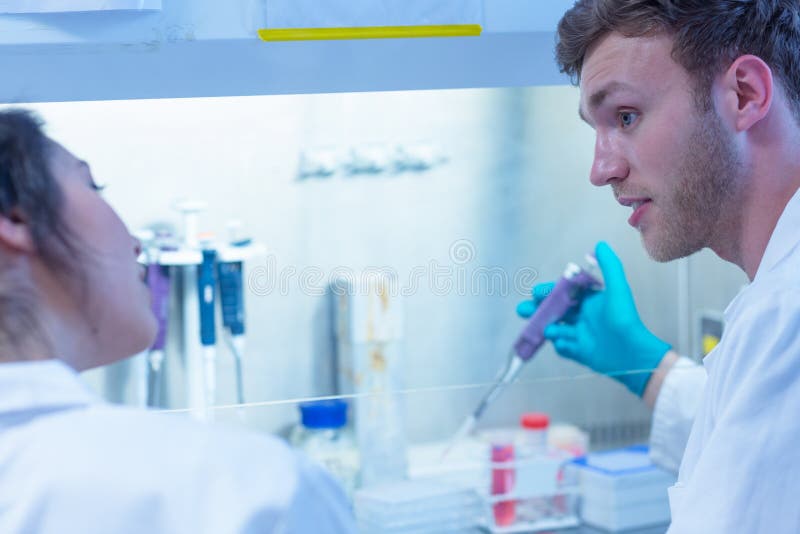 Science Student Using Pipette in the Lab Stock Image - Image of higher ...