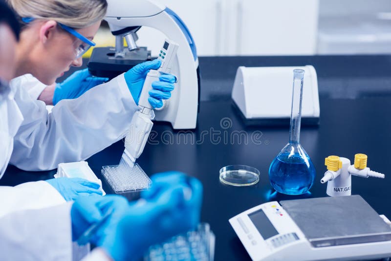 Science Students Working Together in the Lab Stock Photo - Image of ...