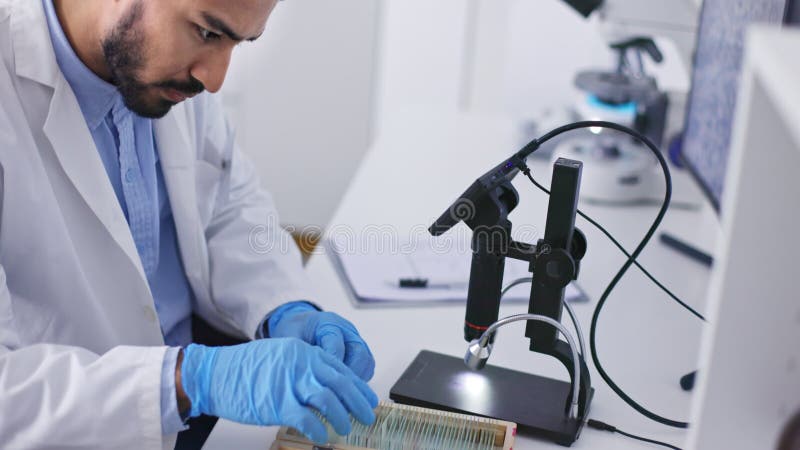 Science Study, Man Scientist and Biotechnology with Scientific Tech ...