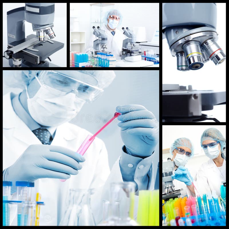 Laboratory. Science team stock photo. Image of lady, clinic - 17822292