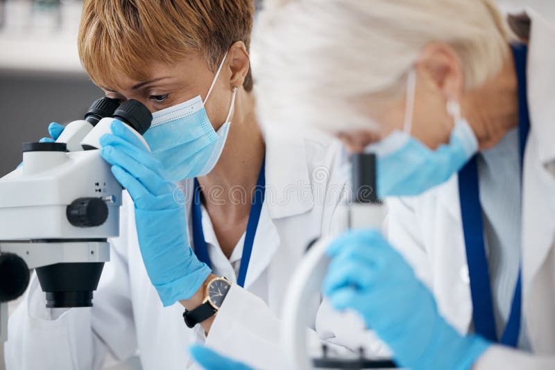 Science Team, Microscope and Analysis in a Laboratory with Scientists for Investigation or ...