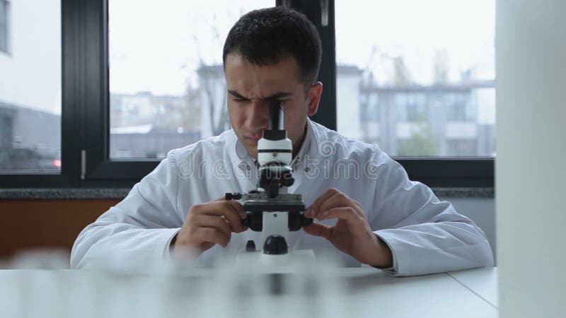 The Two Scientists are Studying Samples Under Microscopes Against a ...