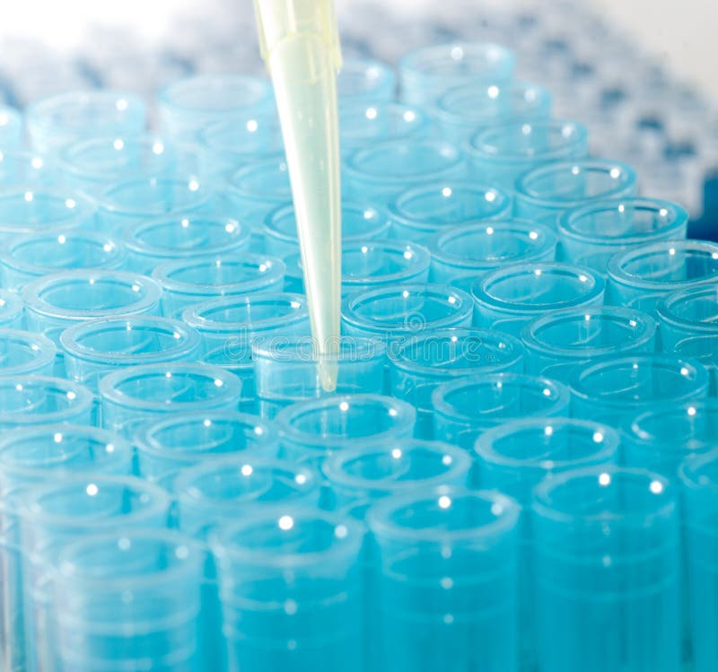 Marine Plankton or Microalgae Culture into a Test Tube in Laboratory ...