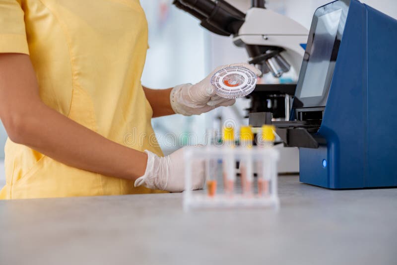 Science Veterinarian Working on Microscope in Lab Stock Image - Image ...