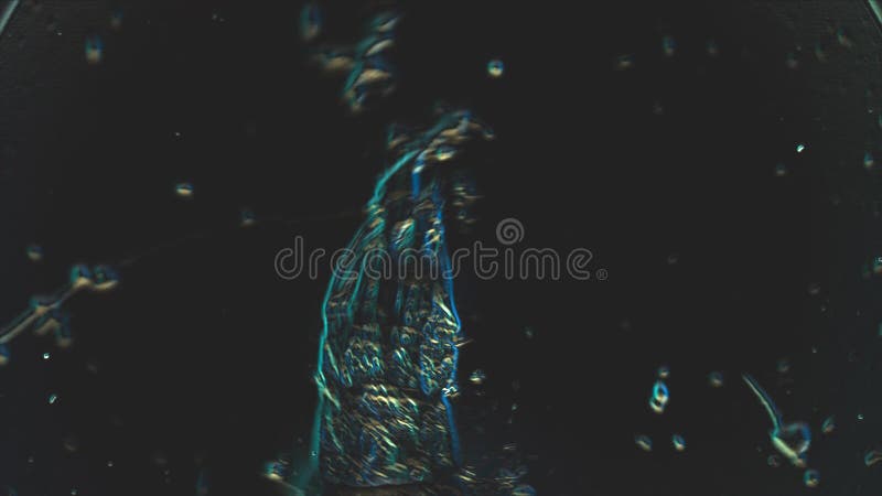Scientific Animation of Anonymous Creature Under Microscope with Glassy ...