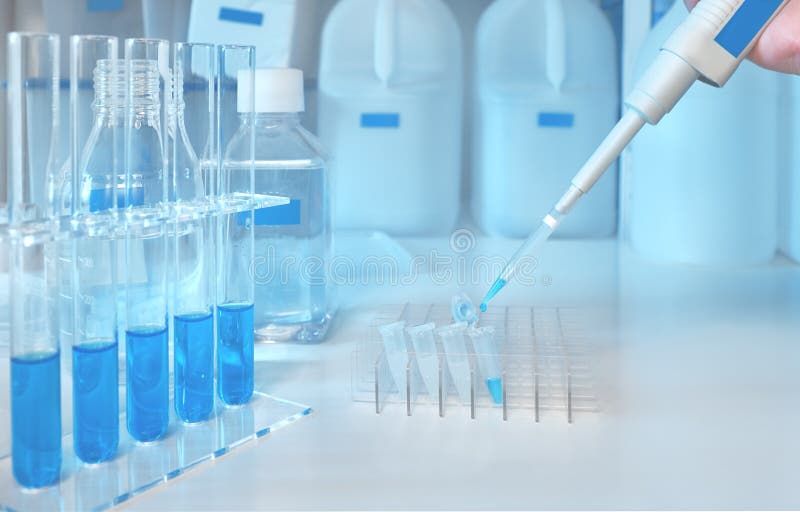 Sample Loading with Multichannel Pipette Stock Photo - Image of ...