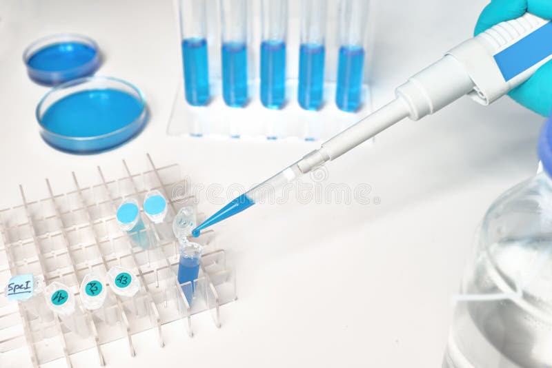 PCR sample loading stock image. Image of buffer, test - 20183515