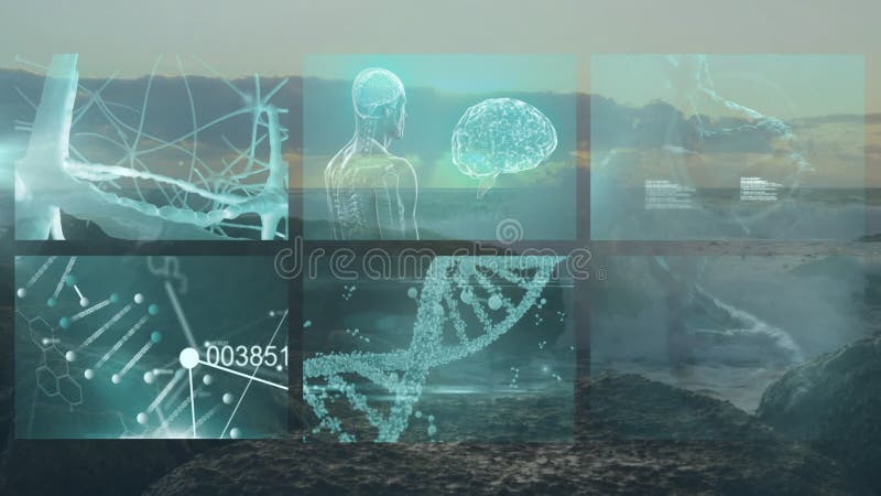 Scientific Data Processing Animation Over DNA Strands and Brain Imagery ...