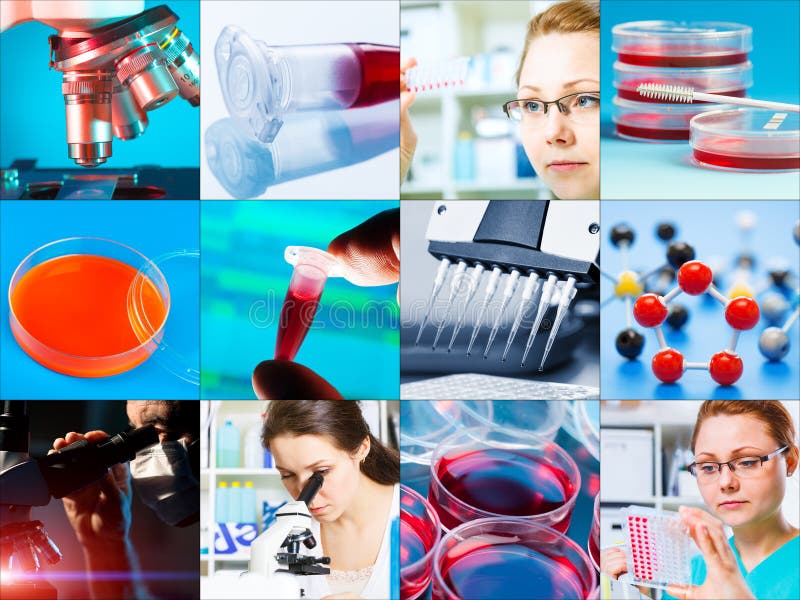 Modern Research Environment, Collage Stock Image - Image of ...