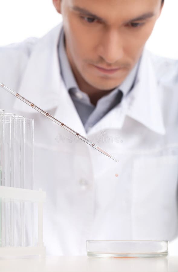 Scientific experiment. stock photo. Image of sitting - 33054554