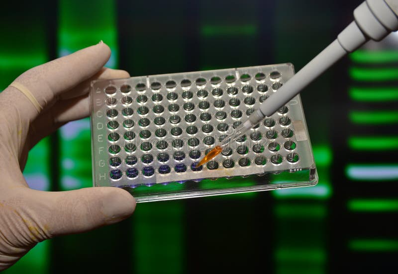 Scientific Experiment in the Laboratory. Stock Image - Image of ...