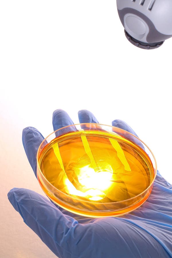 Scientific Experiment in Science Research Lab Stock Image - Image of ...