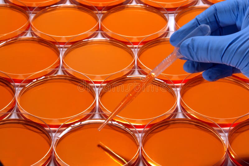 Microbiology laboratory stock image. Image of surface - 20215211