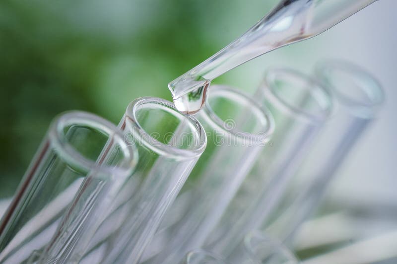 Scientific Experiments, Laboratory Stock Photo - Image of microbiology ...