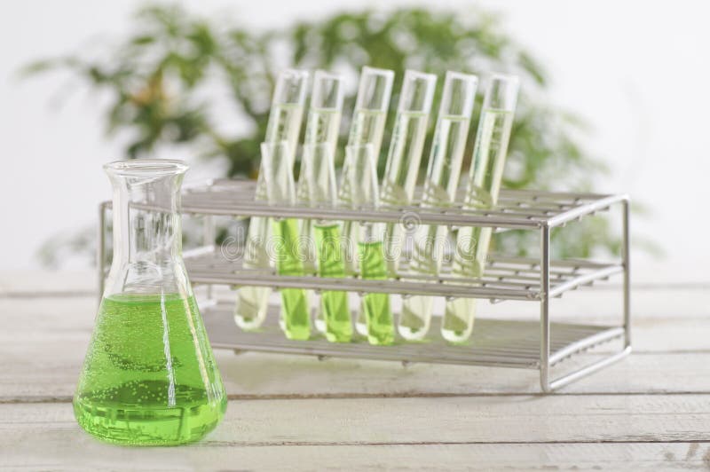 Scientific Experiments, Laboratory Stock Photo - Image of biology ...