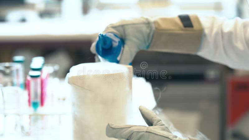 Scientific Experiments with Liquid Nitrogen in a Research Laboratory ...