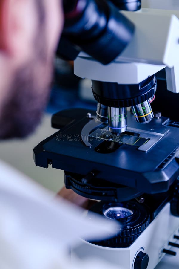 Scientific Handling a Light Microscope Examines a Laboratory Sample for ...
