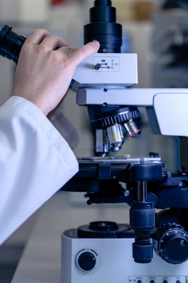 Scientific Handling a Light Microscope Examines a Laboratory Sample for ...