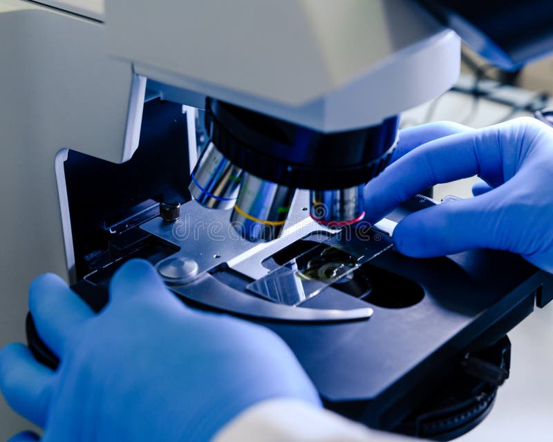 Scientific Handling a Light Microscope Examines a Laboratory Sample for ...