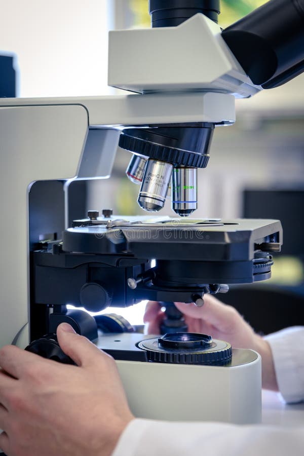 Scientific Handling a Light Microscope Examines a Laboratory Sample for ...