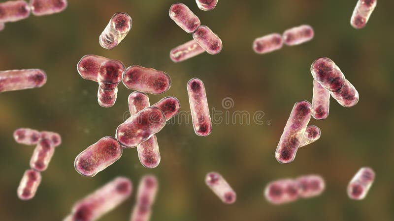 Bacteria Bacteroides, 3D Illustration Stock Illustration - Illustration ...