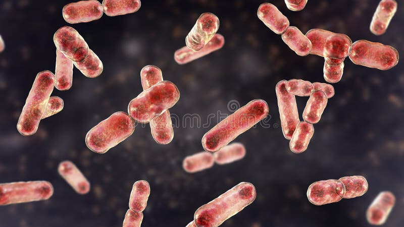 Bacteria Bacteroides, 3D Illustration Stock Illustration - Illustration ...