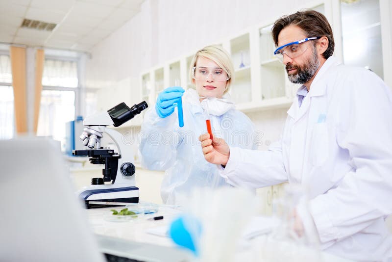 Biological experiment stock image. Image of laboratory - 17345871