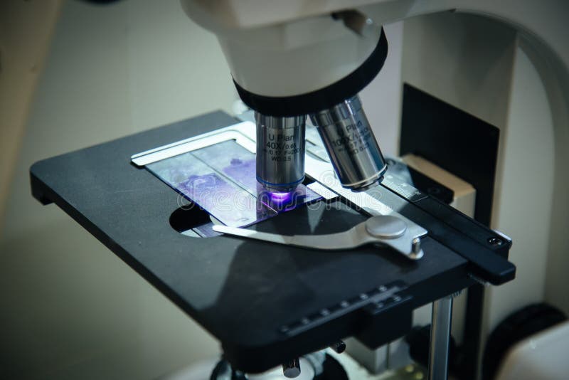 Scientific or Medical Test Sample Under Light Microscope in Laboratory ...