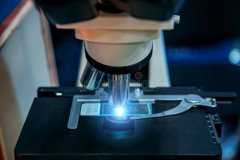 Scientific or Medical Test Sample Under Light Microscope in Laboratory ...