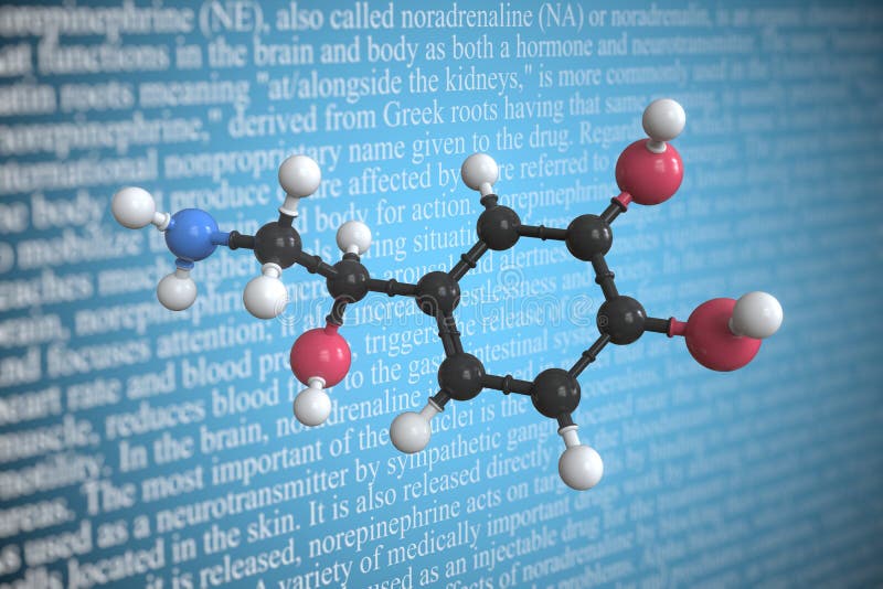 Molecular Model of Noradrenaline, 3D Rendering Stock Illustration ...