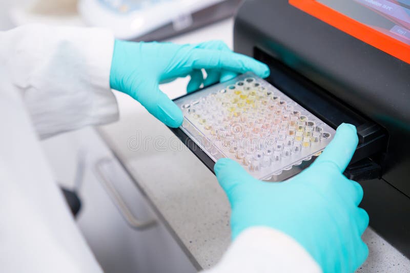 Scientific Puts Microplate into Microplate Spectrophotometer To Analyze ...