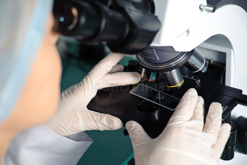 Research Stereo Microscope with Monitor Stock Photo - Image of ...