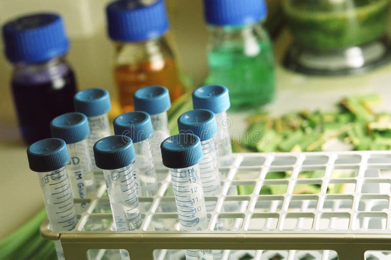 Scientific research stock image. Image of plant, laboratory - 3596151