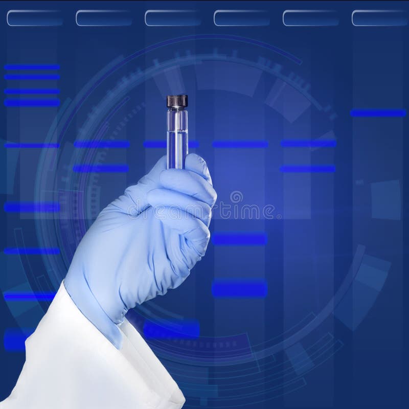 Scientific Sample in Gloved Hand Stock Image - Image of liquid ...