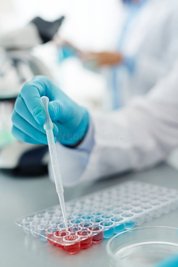 Scientific samples stock image. Image of science, pink - 33381245