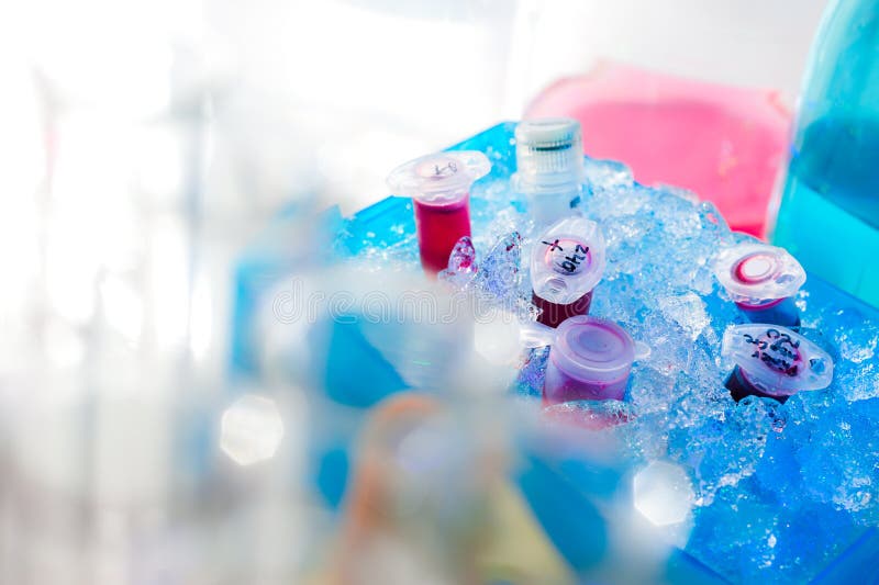Scientific samples on ice stock photo. Image of research - 26204646