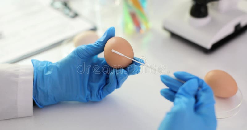 Scientific Study of Process of Eggs and Toxins in Laboratory Stock ...
